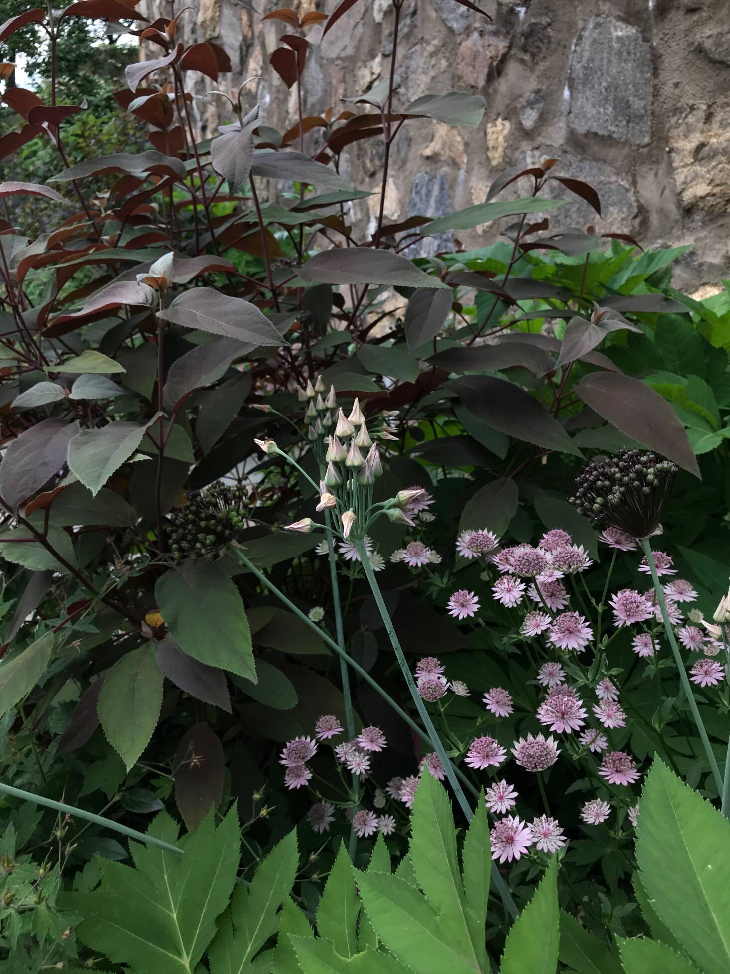 Lindsey Taylor: An Interview with the Garden and Floral Designer