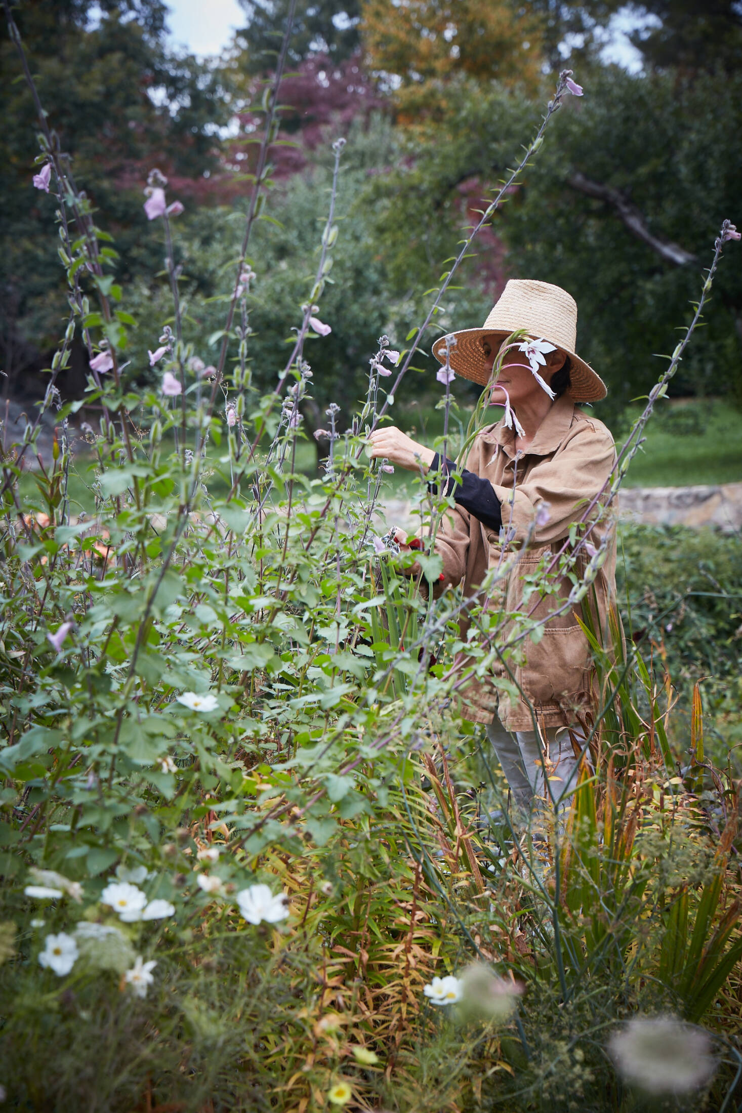 Lindsey Taylor: An Interview with the Garden and Floral Designer