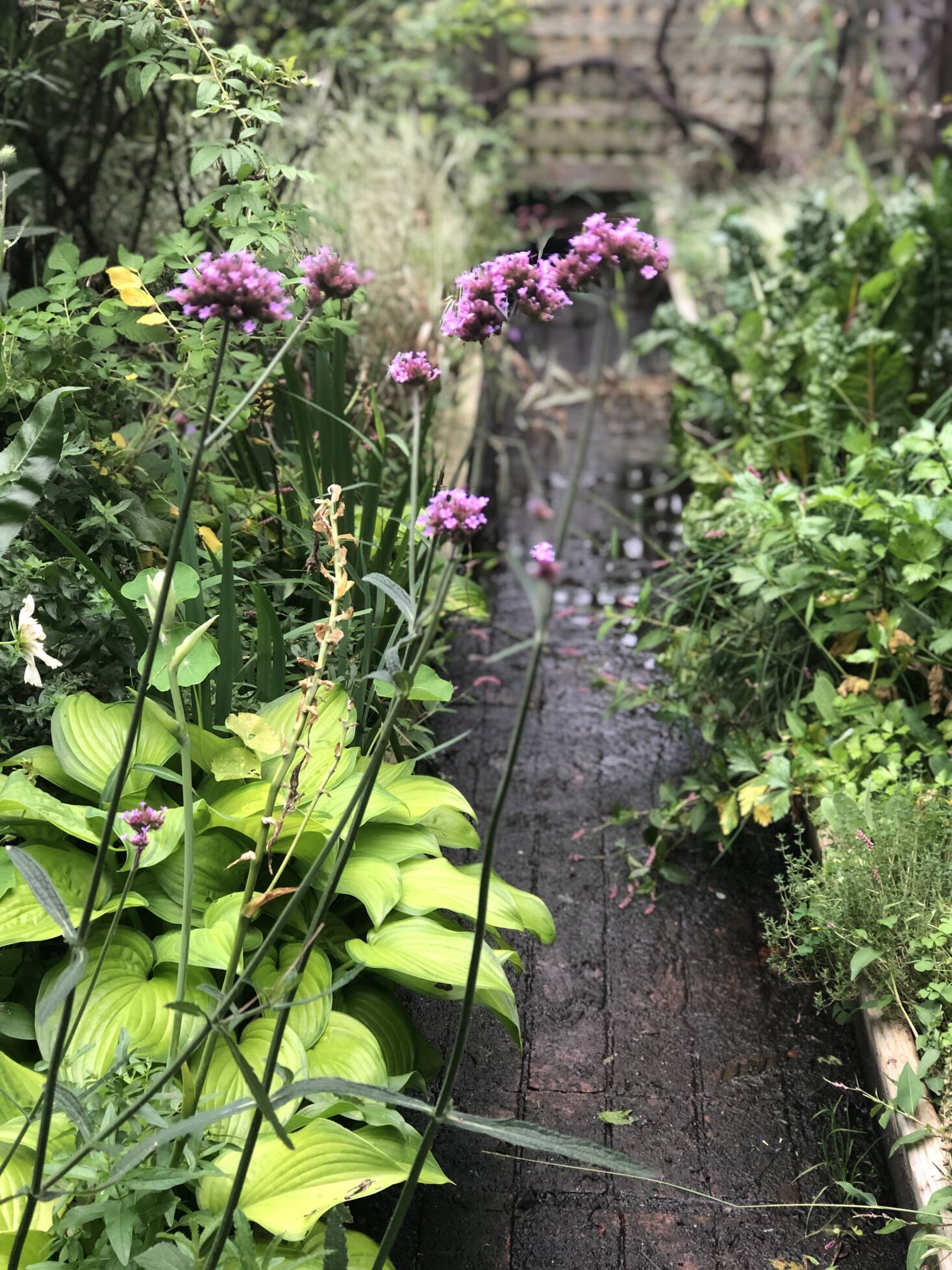 Alex Bates: An Interview with the Cofounder of Bloomist and Avid Gardener