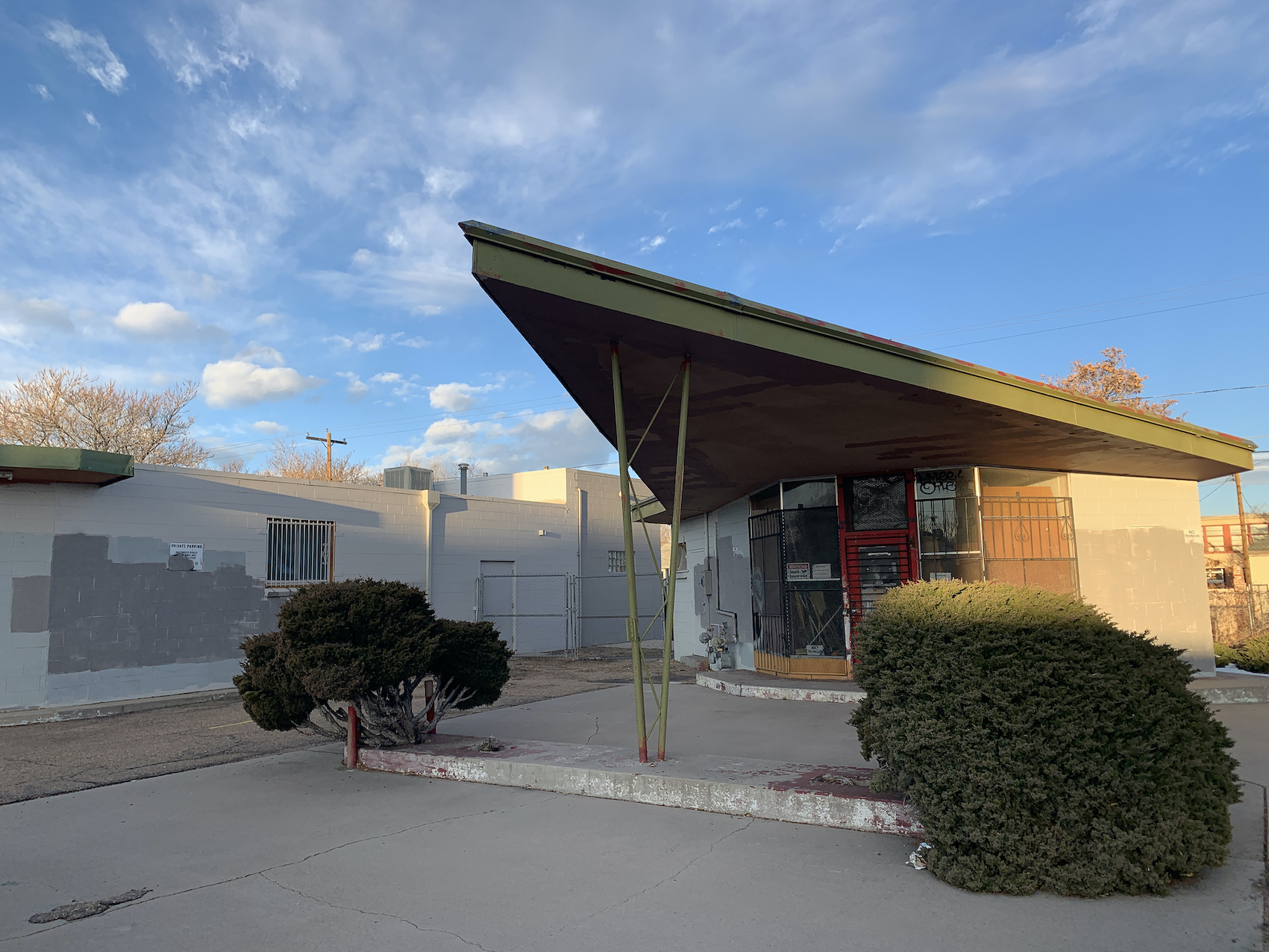 'Shrouded in Light': A New Book by Kevin Williams and Michael Guidi ...