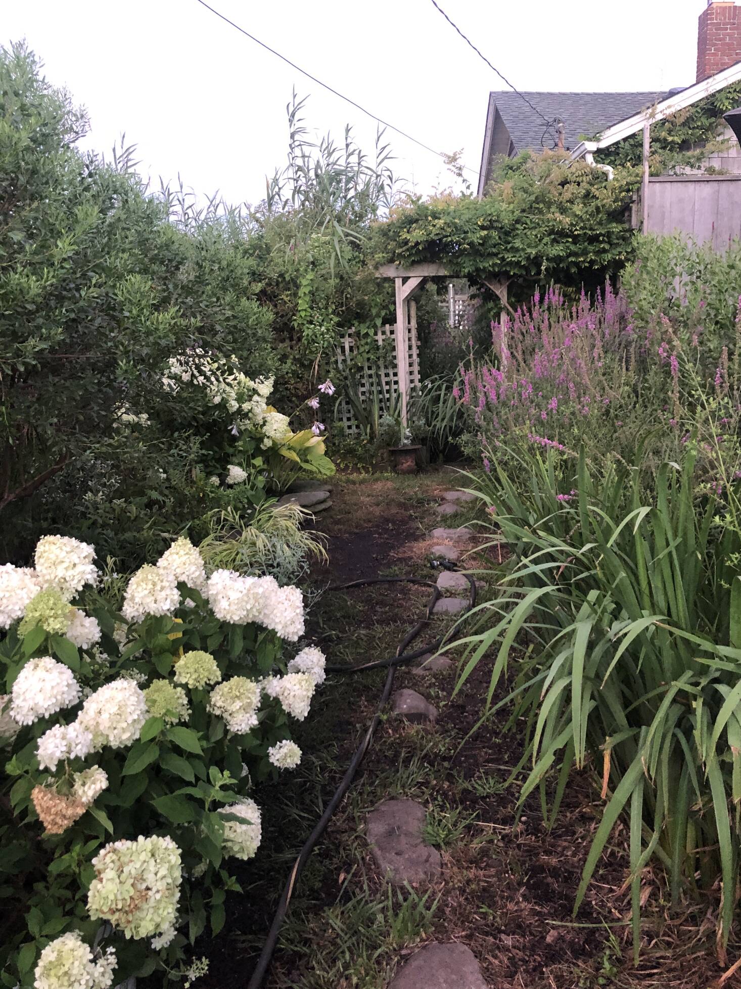 Alex Bates: An Interview with the Cofounder of Bloomist and Avid Gardener