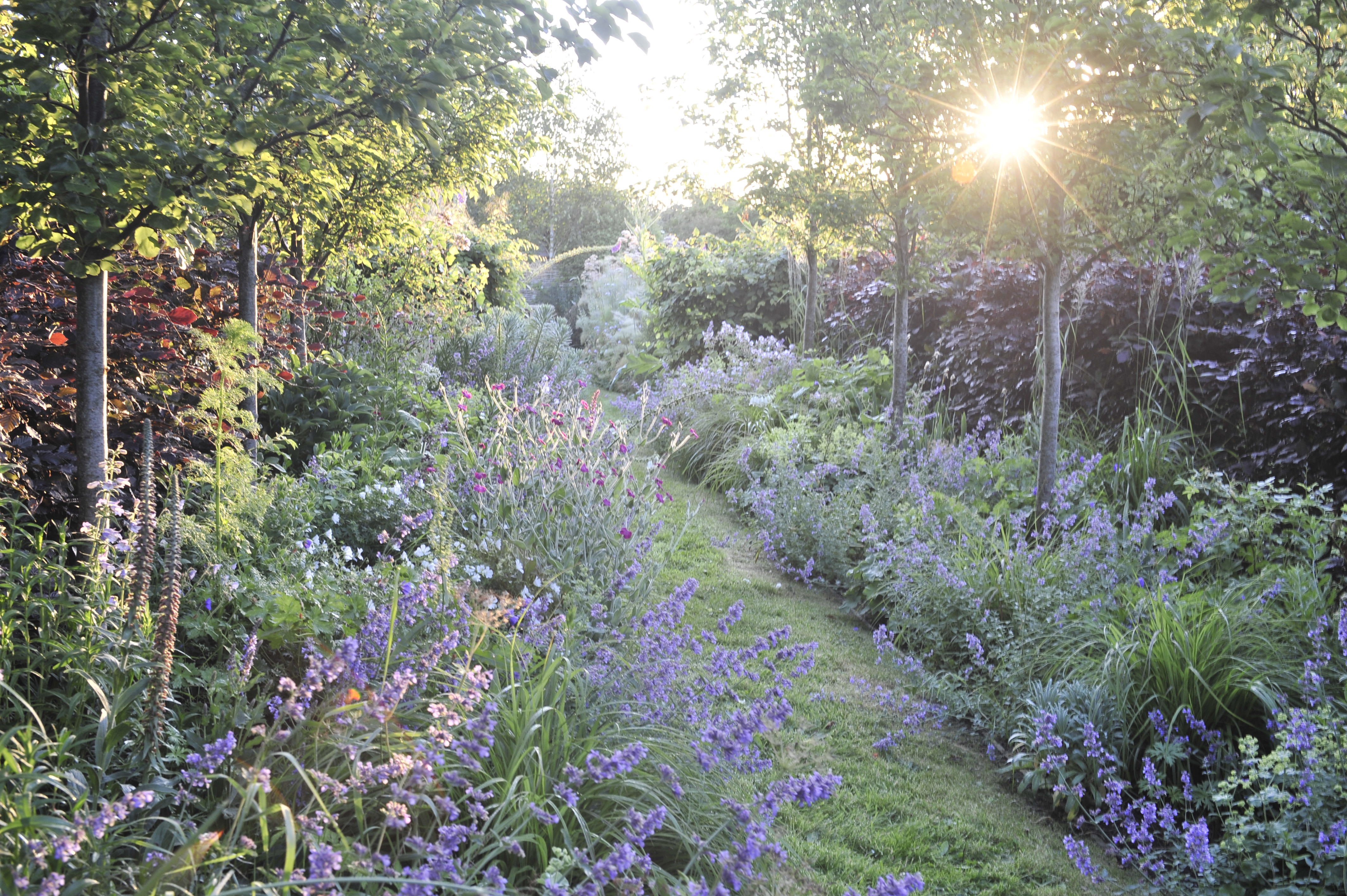 A Garden from Scratch: 8 Mistakes I Made as a Beginner Gardener