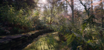 Louise Wrinkle: 'A Garden in Conversation' Is About the Landscape in ...