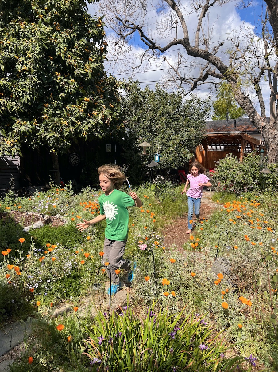 Wild Yard Project: David Newsom's Mission to Re-Wild Landscapes