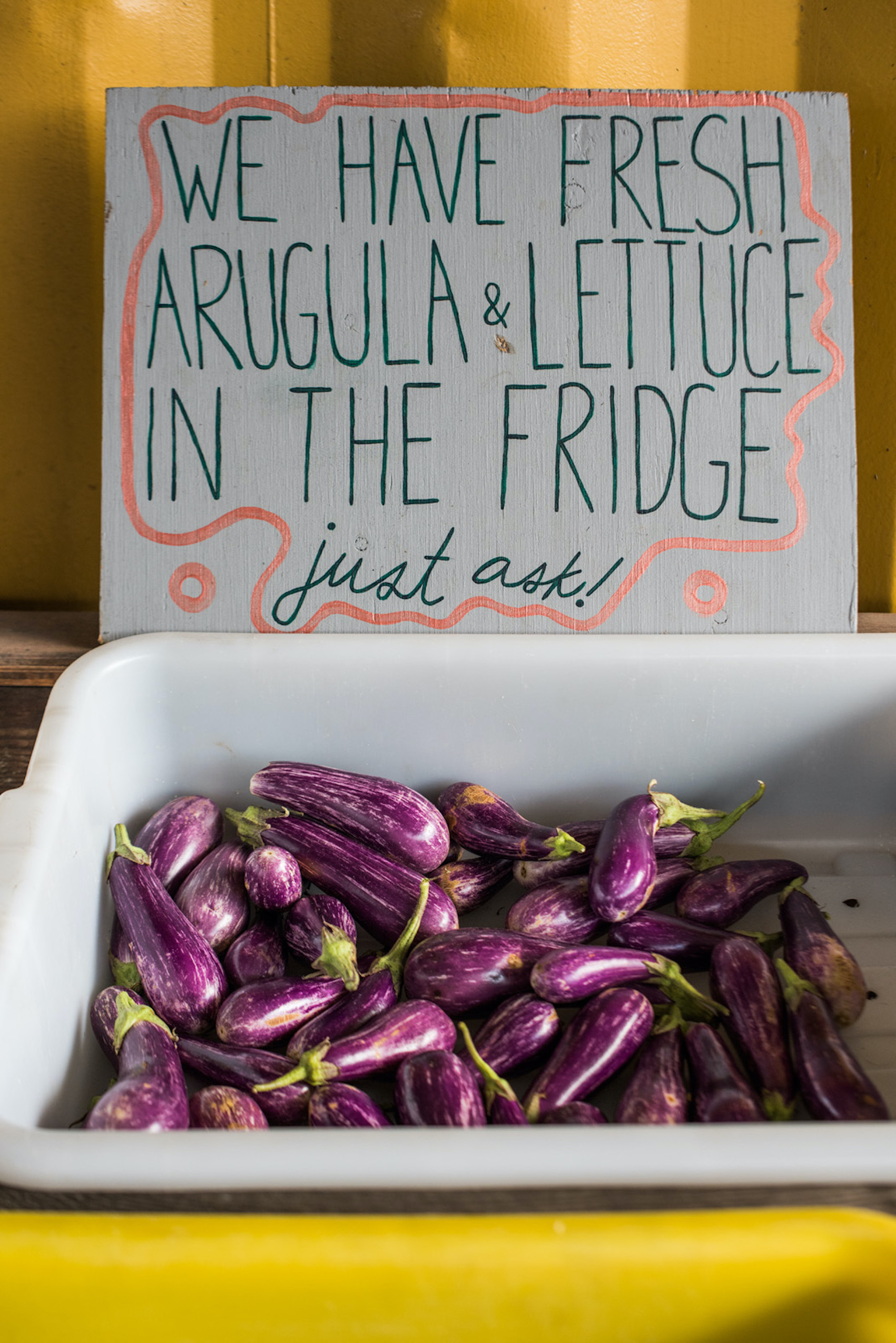 Edgemere Farm: An Urban Farm on Far Rockaway Offers Relief in a Food Desert