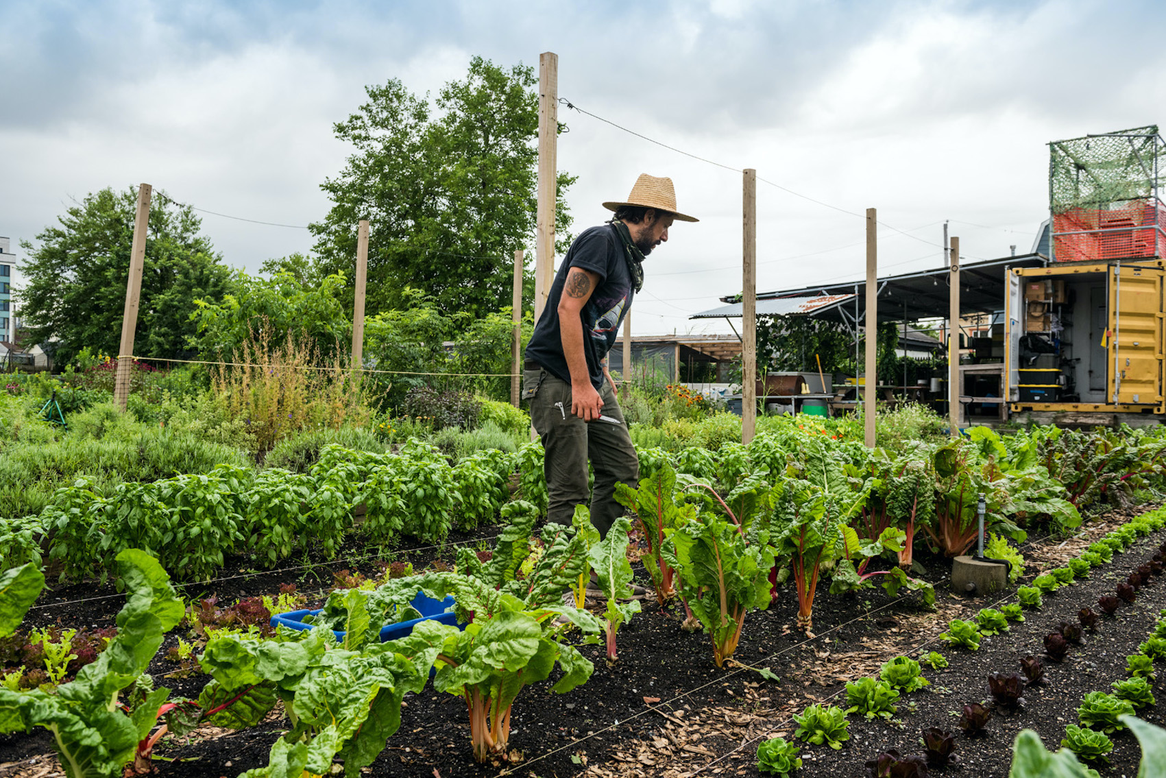 Edgemere Farm: An Urban Farm on Far Rockaway Offers Relief in a Food Desert