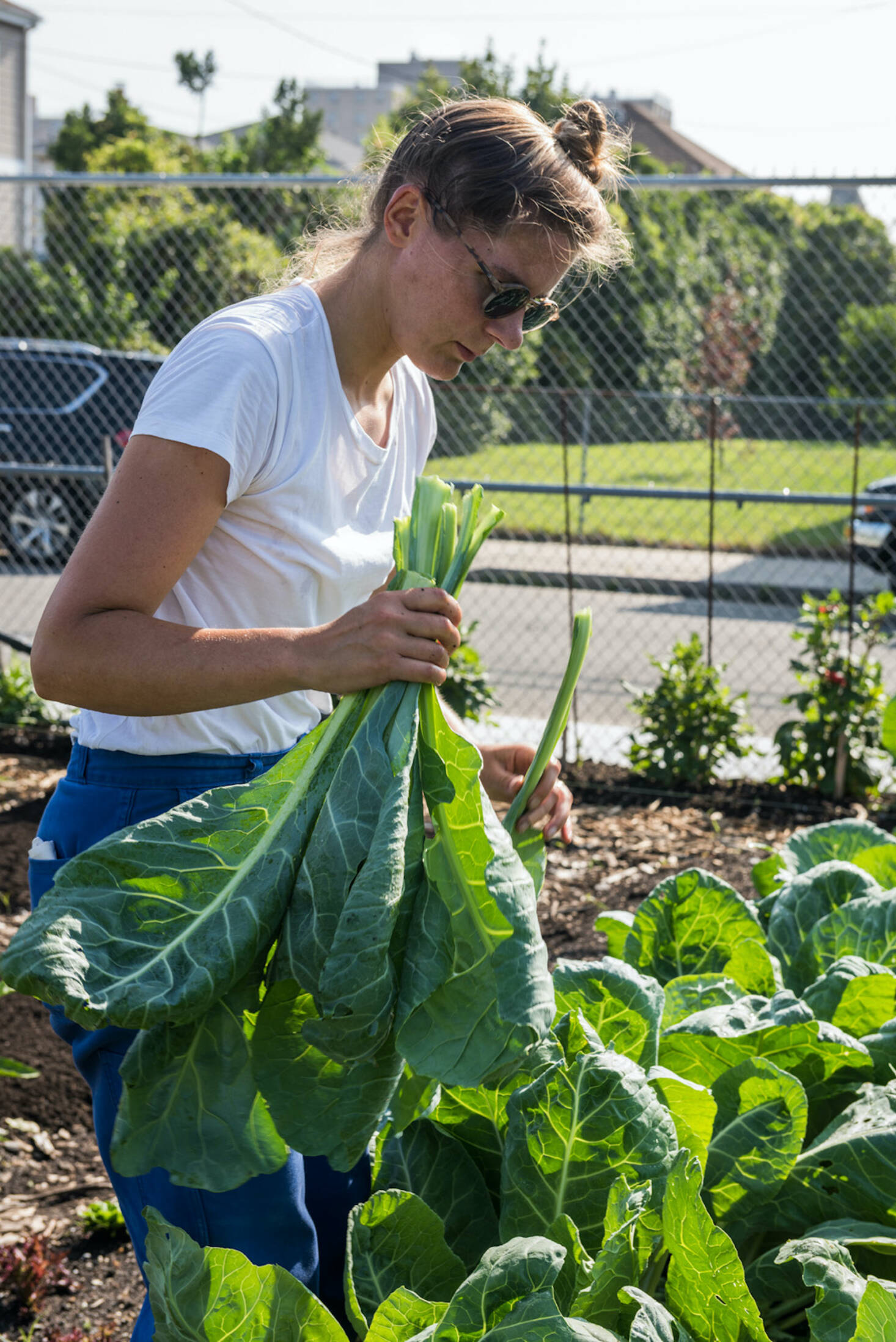 Edgemere Farm: An Urban Farm on Far Rockaway Offers Relief in a Food Desert