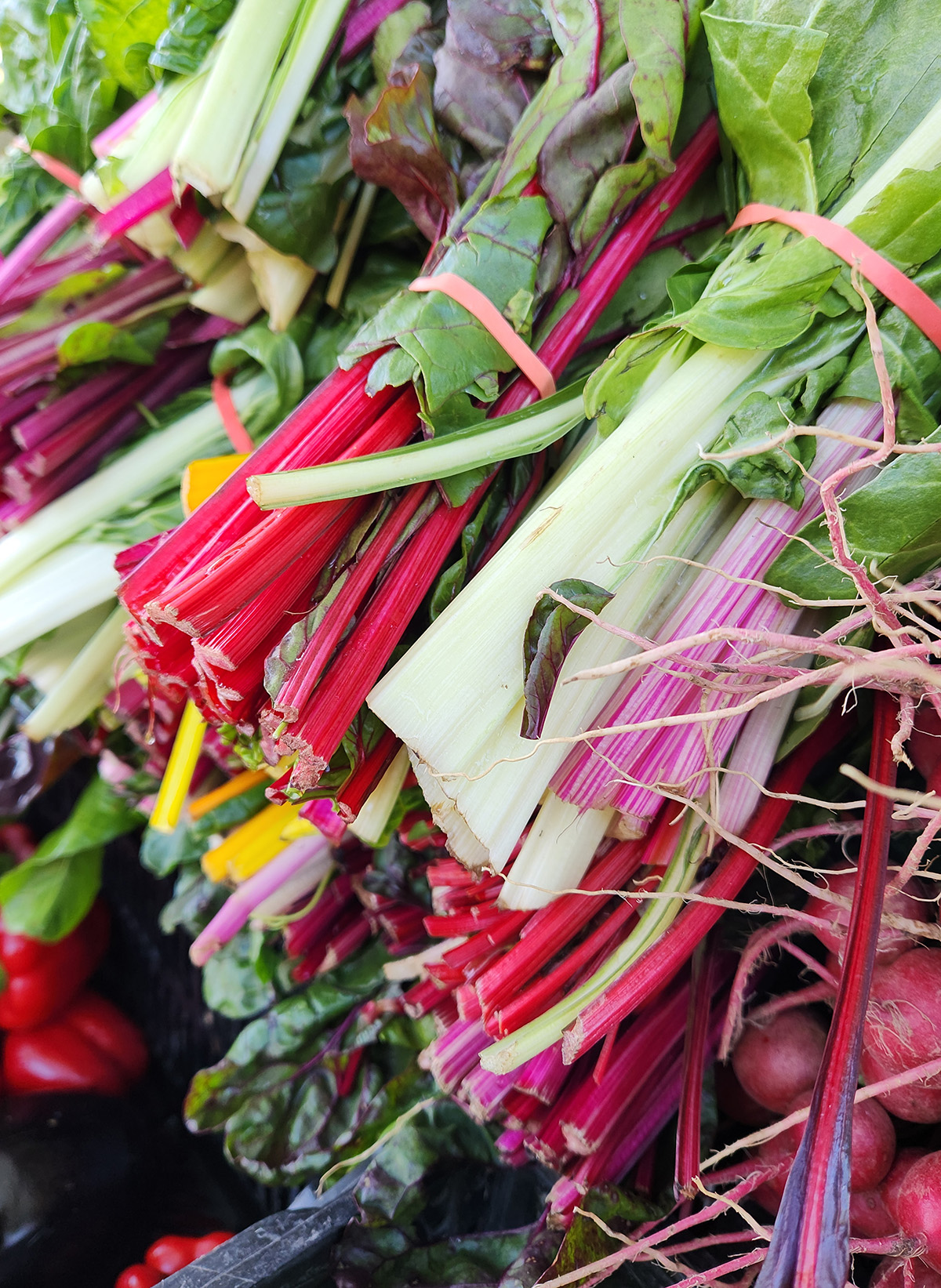 Grilled Swiss Chard Stems: A Simple Recipe Using Just 3 Ingredients