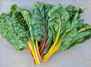 Grilled Swiss Chard Stems: A Simple Recipe Using Just 3 Ingredients