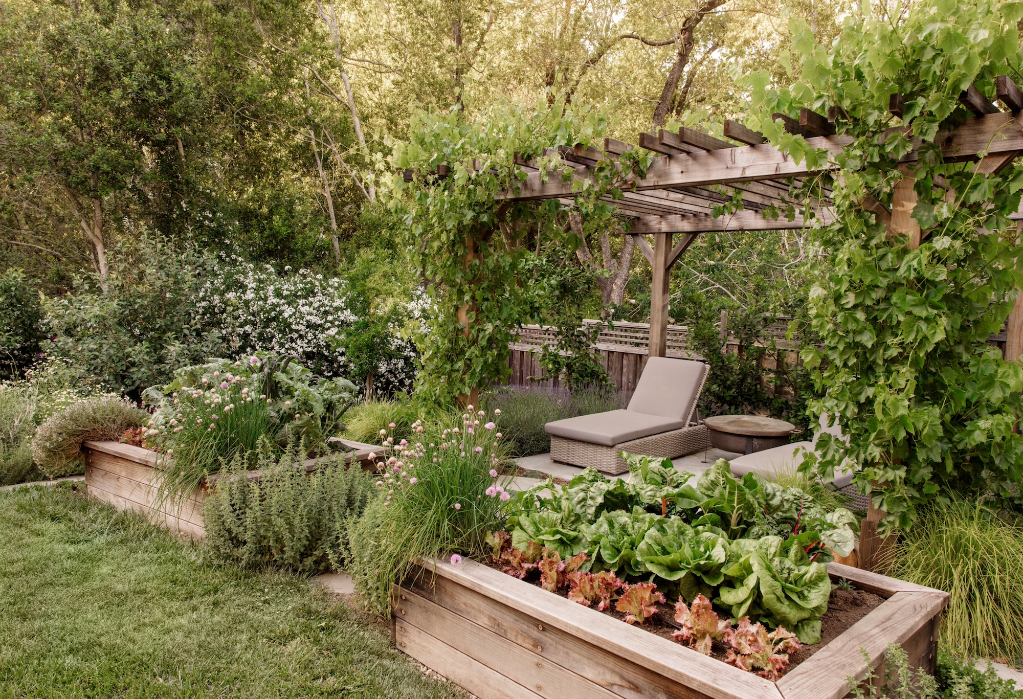 The Food Forward Garden, by Christian Douglas: A Manual that Explains ...