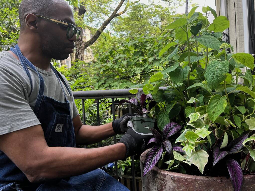 Corwin Green and Damon Arrington: An Interview With the Founders of ...