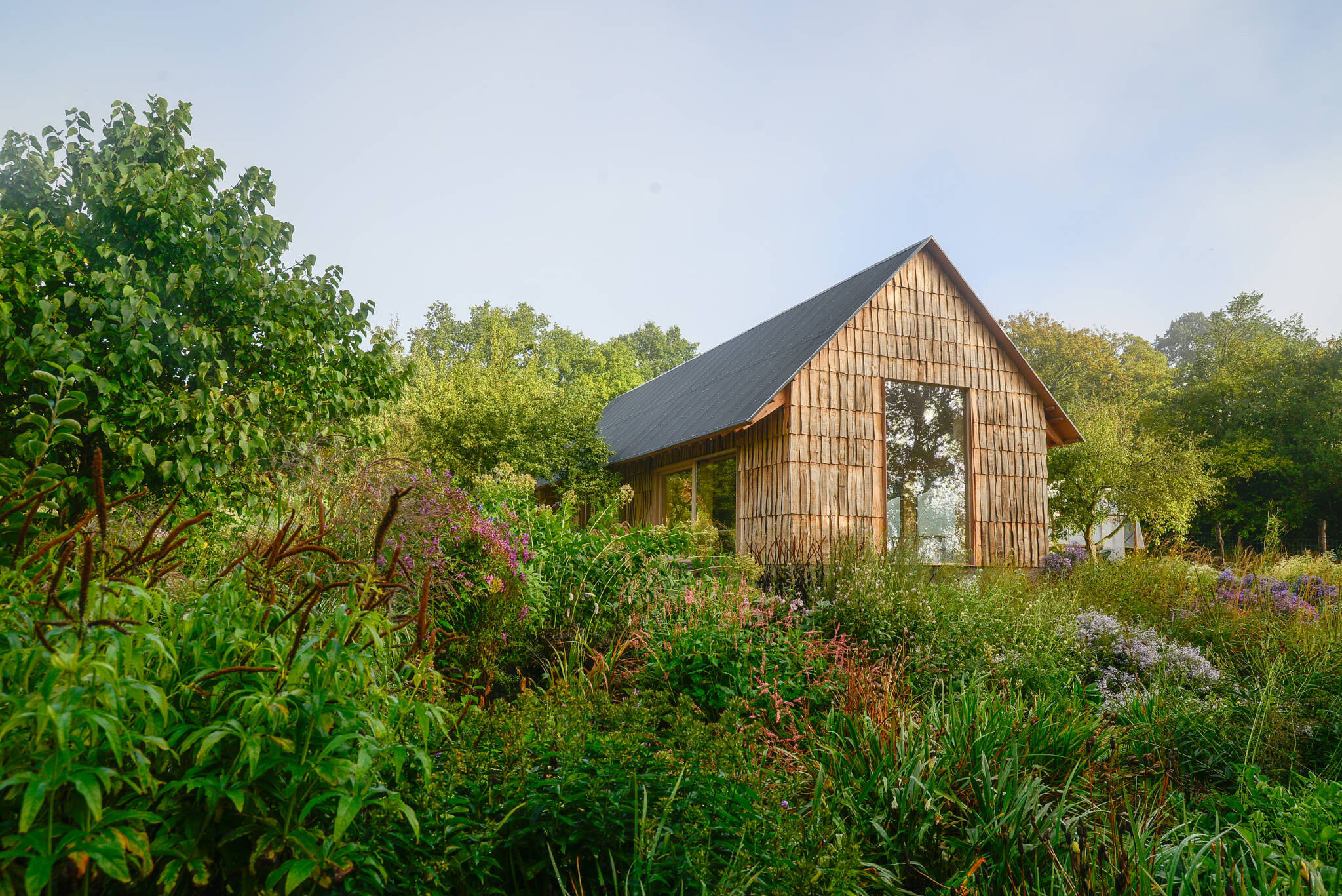 The Serge Hill Project: A Beautiful Non-Profit Garden Founded by Tom ...