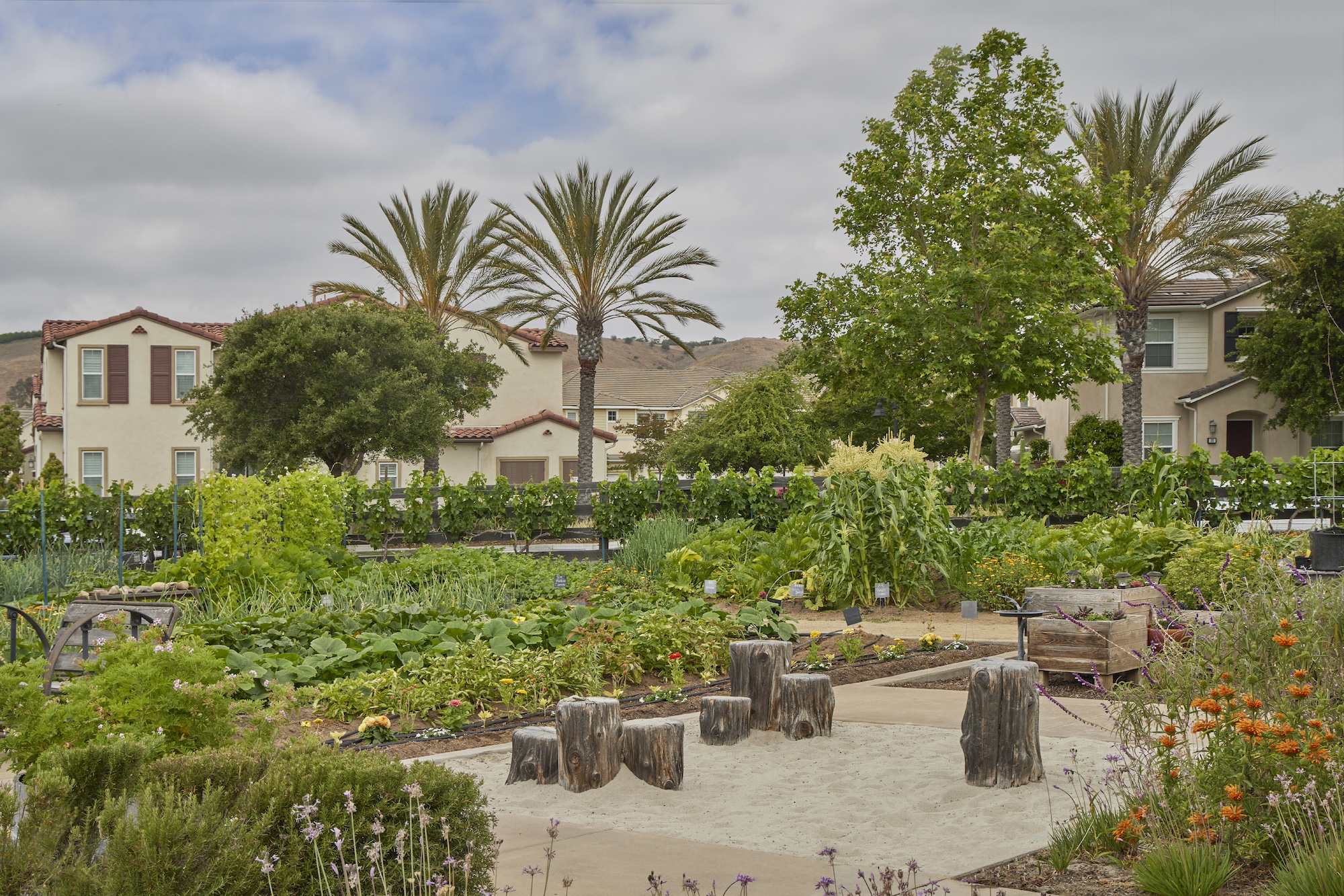 What Is an 'Agrihood'? The Newest Garden Trend That Can Increase Your ...