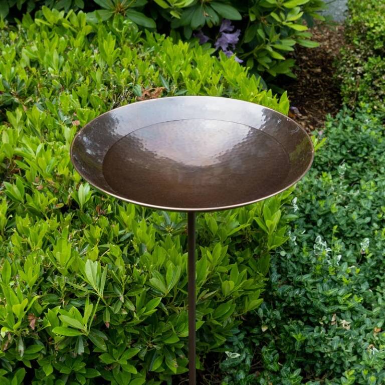 Birdbath Basics: 5 Types of Watering Holes for Your Garden - Gardenista