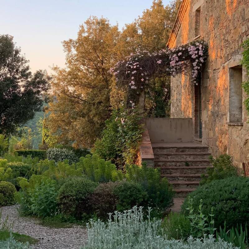 Cornichons: An Easy Recipe for Tiny Pickled Cucumbers