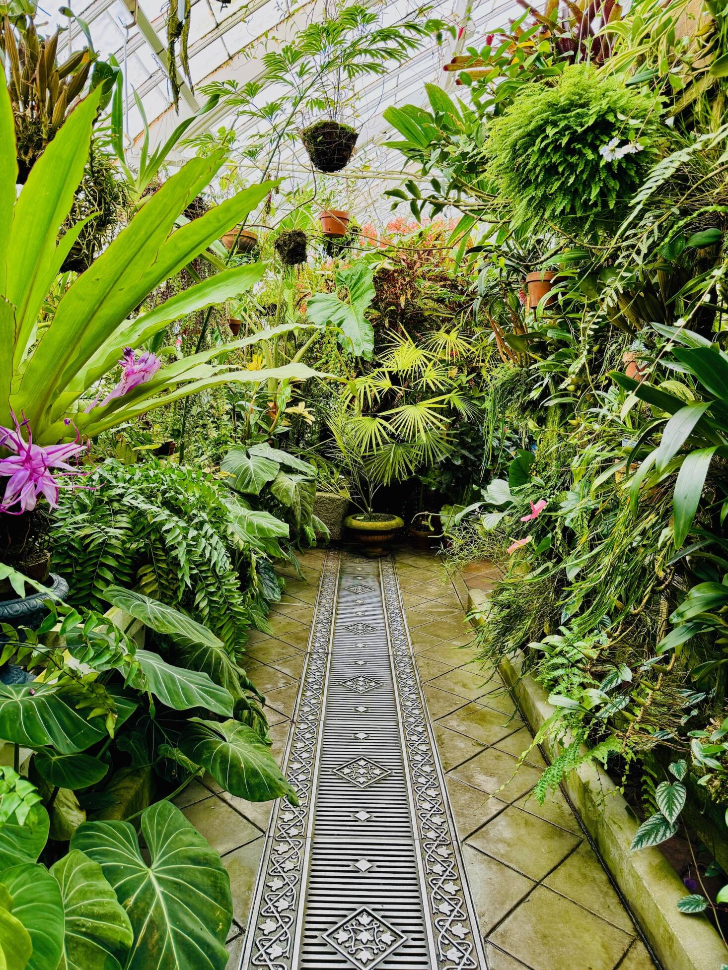 Garden Visit: The Conservatory of Flowers in San Francisco's Golden ...