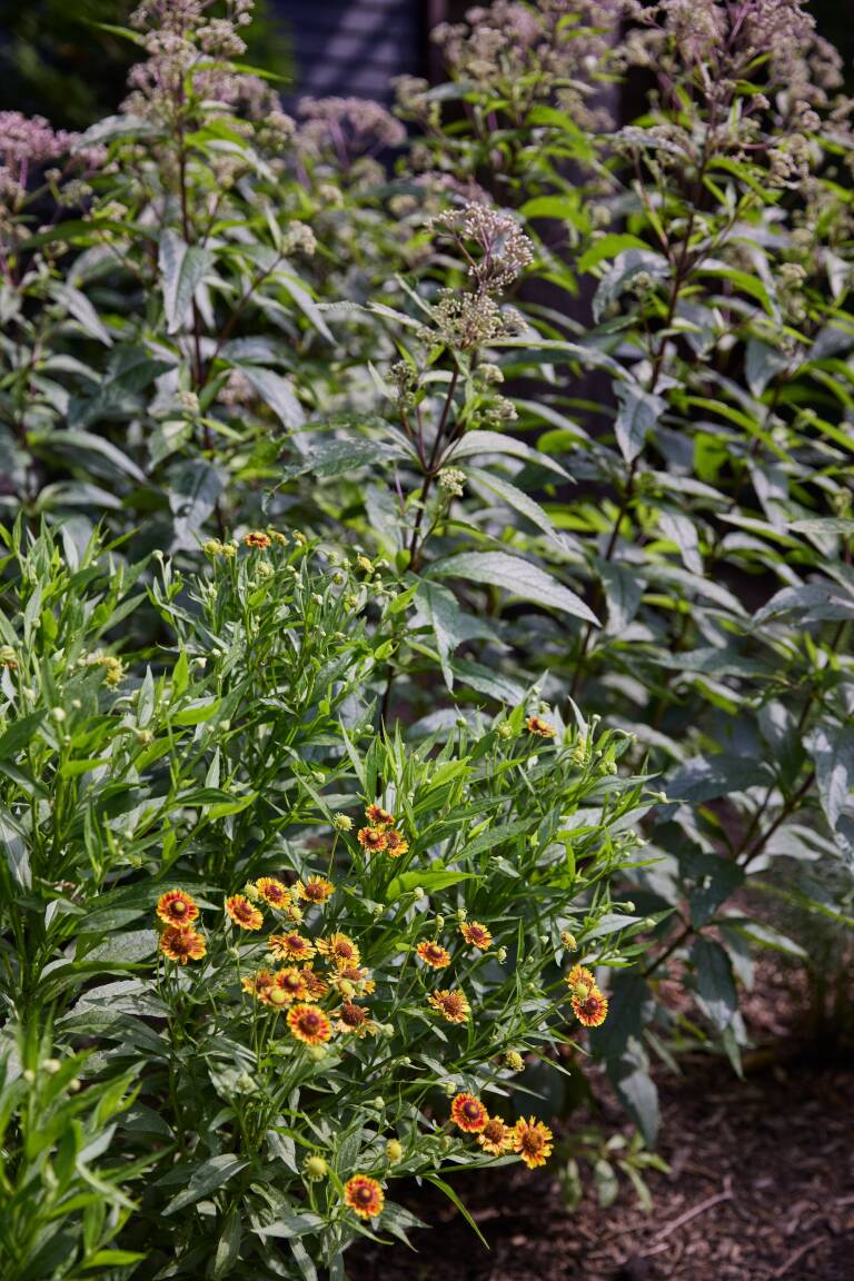 Quick Takes With: Jarema Osofsky and Adam Bertulli - Gardenista