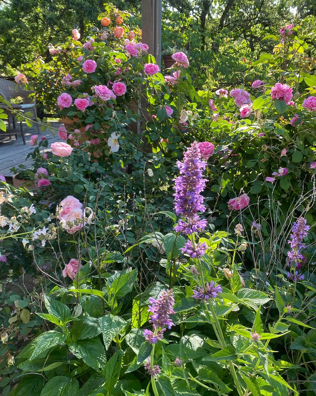 An Interview With Jennifer Jewell, the Creator of Cultiving Place