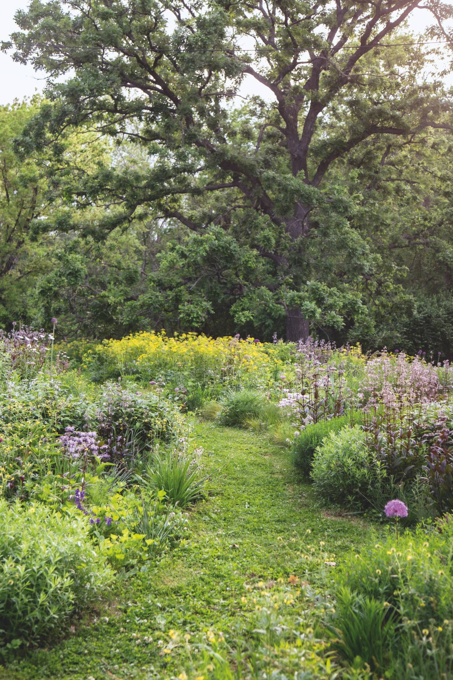 'Your Natural Garden': A Review of Kelly D. Norris's New Gardeening Boook