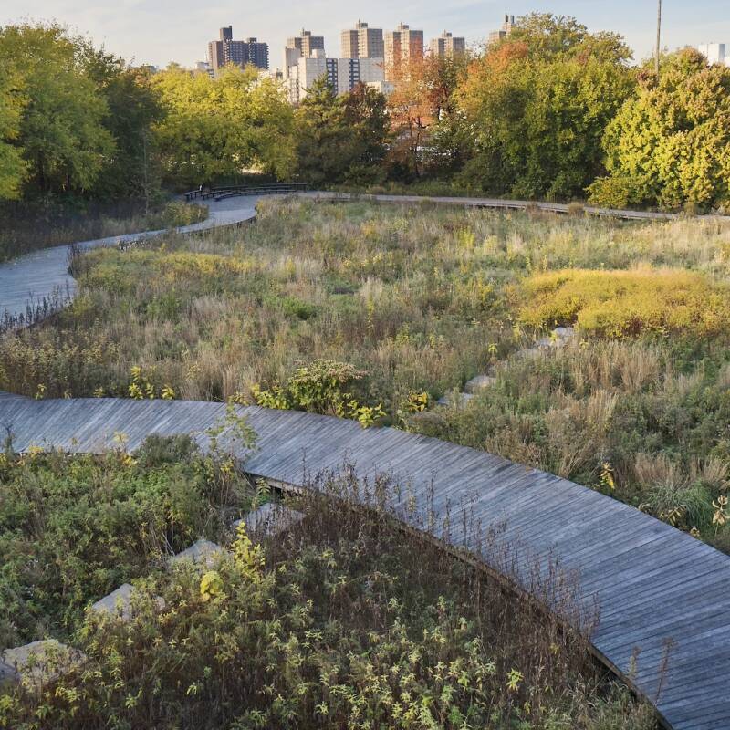 Nature-Based Gardening: 12 Tips from Perfect Earth Project