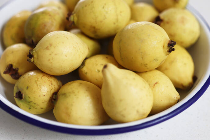 Guavas: Eat the Sweet Tropical Fruit Raw or Poached