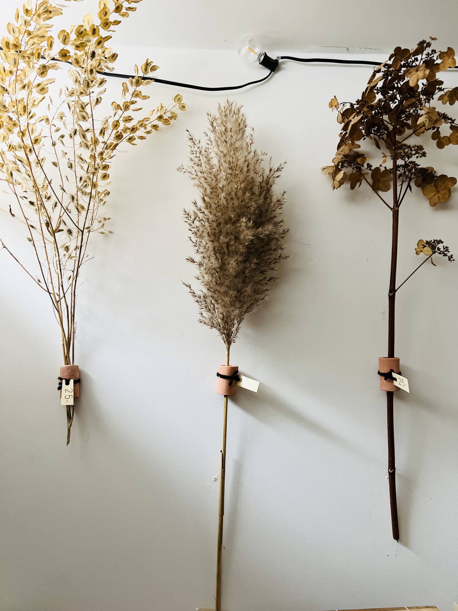 Priscilla Woolworth: An Interview with the Hudson Valley Climate ...