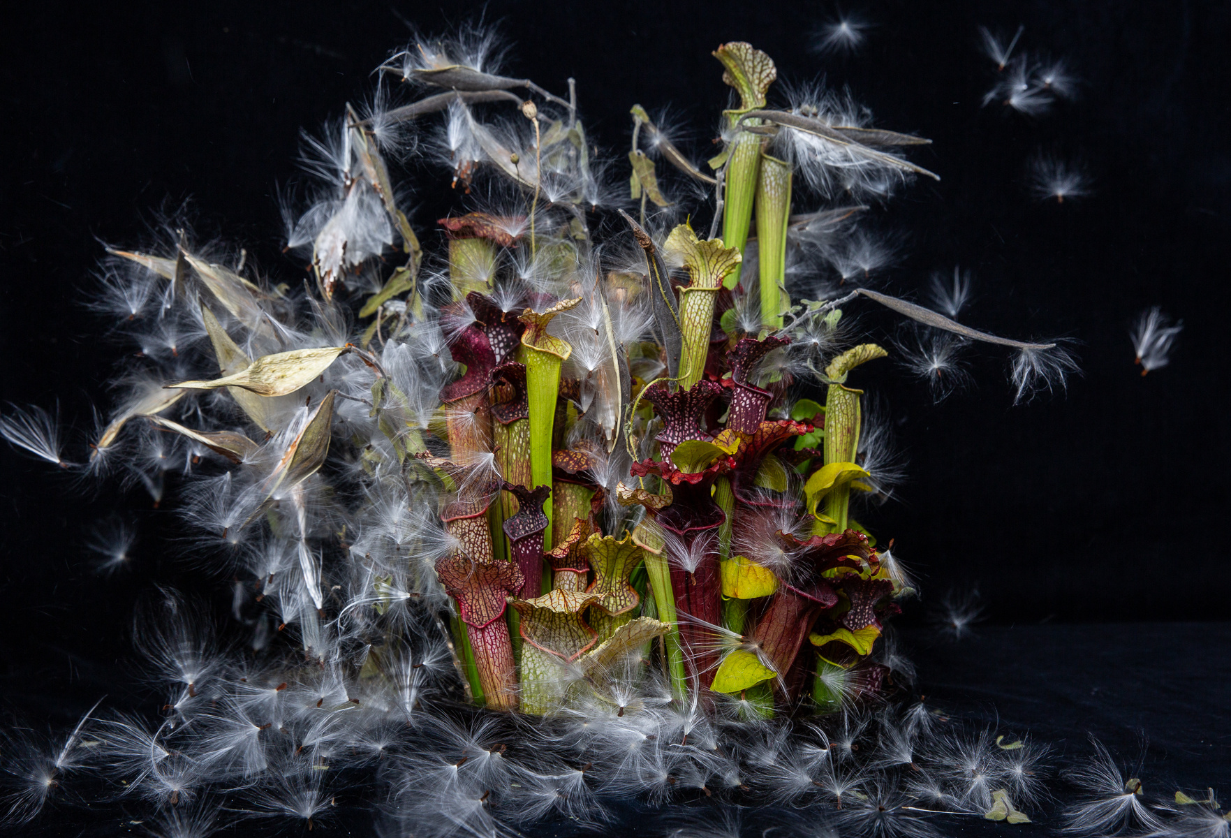 'Emily Thompson Flower': The Floral Designer's New Book Captures Her ...