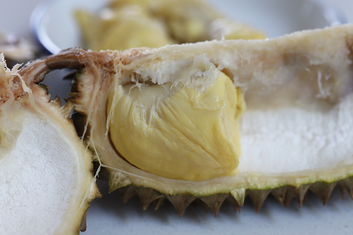 Durian Ice Cream: A Recipe Featuring the Stinky Tropical Fruit