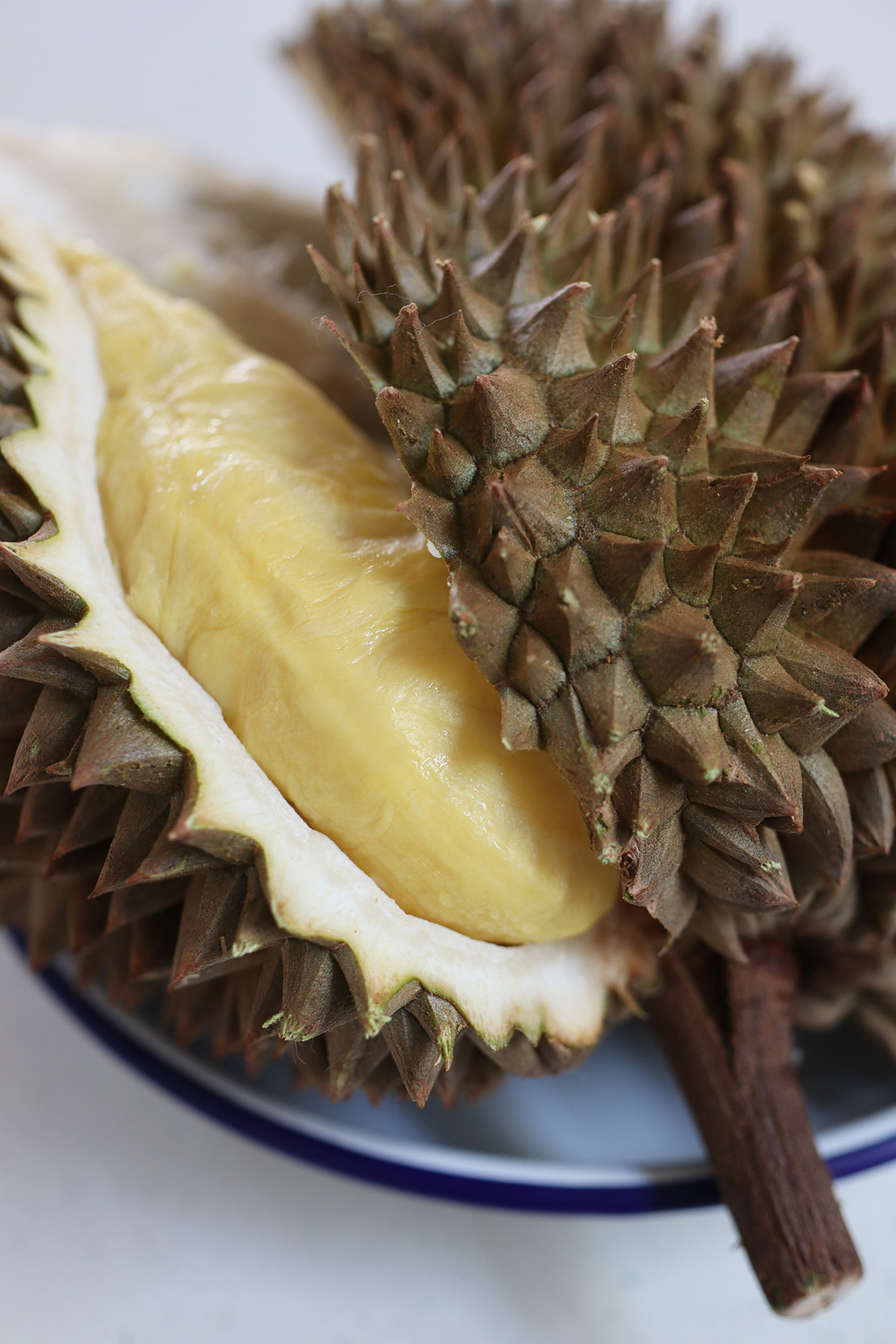 Durian Ice Cream: A Recipe Featuring the Stinky Tropical Fruit