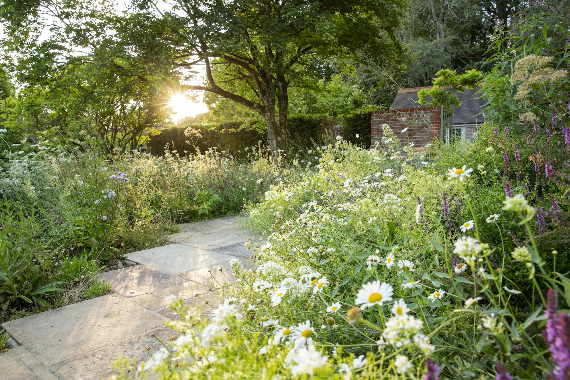 Jo Thompson's 'The New Romantic Garden': Design Ideas to Steal From Her ...