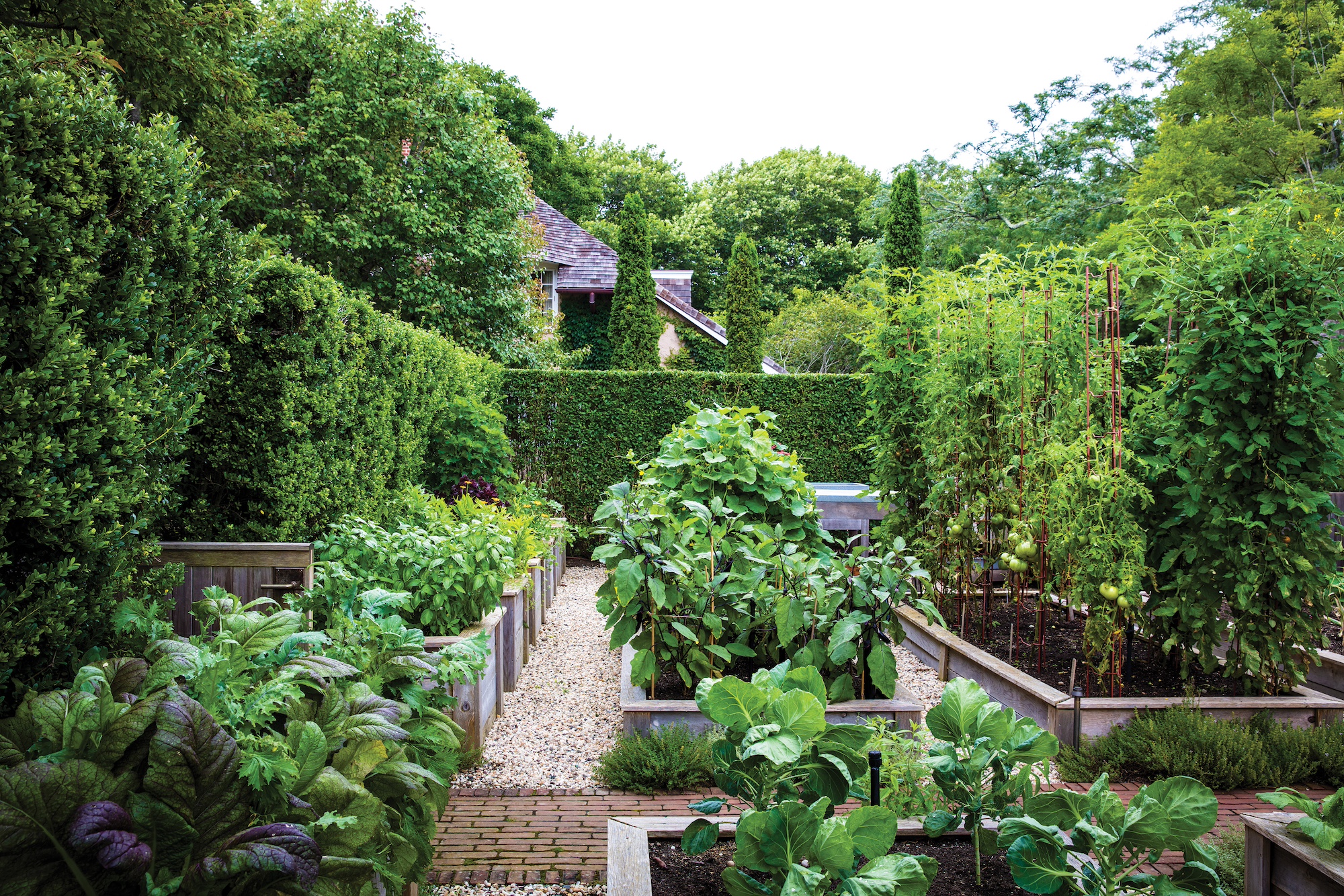 'Martha Stewart's Gardening Handbook': A Review of Her New Book