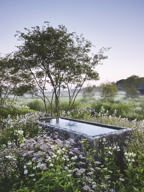 James Ingram's New Book: 'How to Photograph Gardens' Shares Practical ...