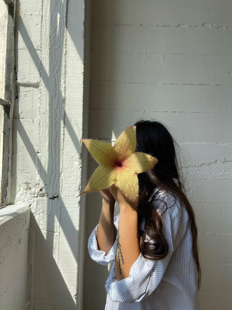 An Interview With Isa Isa Founder and Floral Designer Sophia Moreno-Bunge