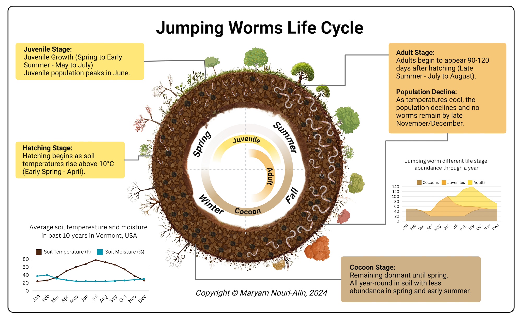 A New Invasive Species? Here's What You Need to Know About Jumping ...