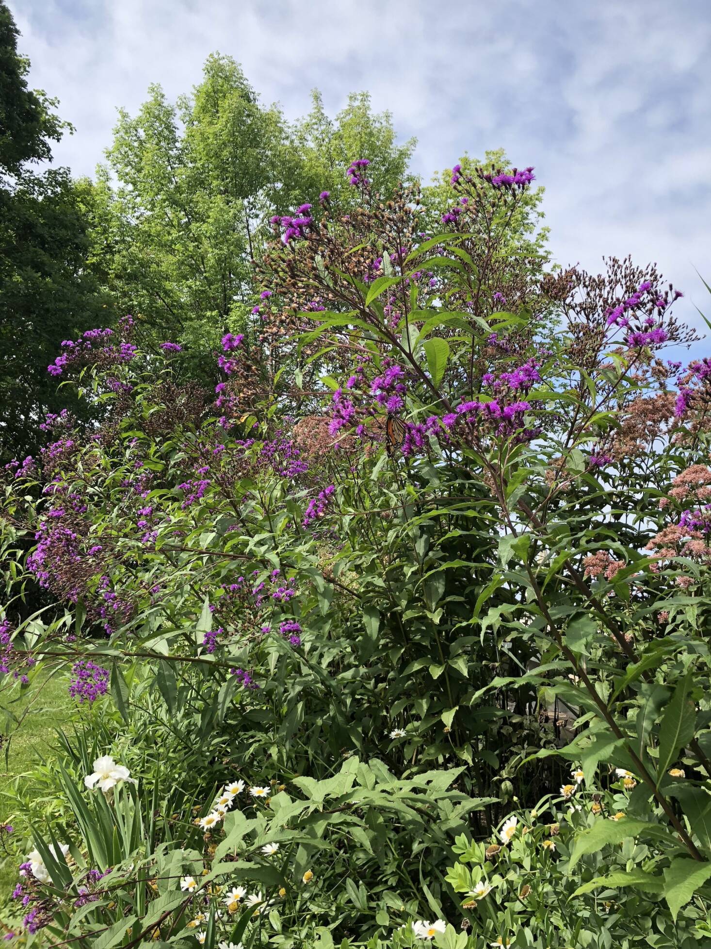 The New Garden Aesthetic: Melissa Ozawa on Changing Her Views on What ...