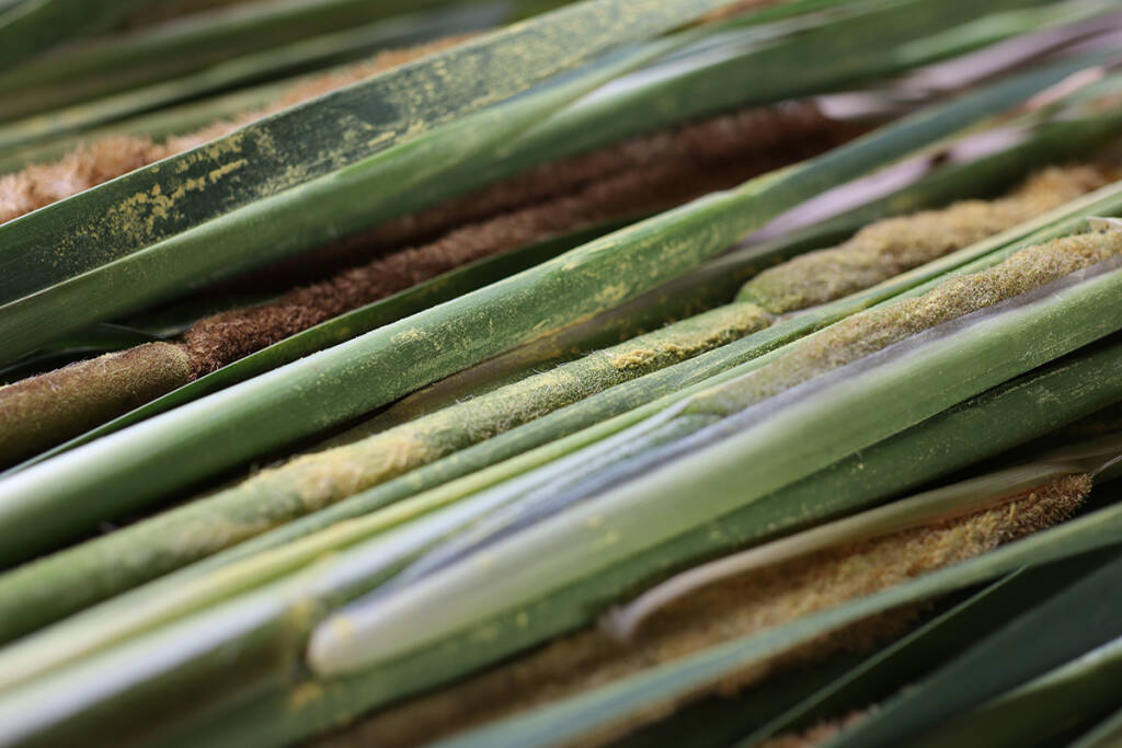A Gluten-Free Bread Recipe that Is Dense with Seeds