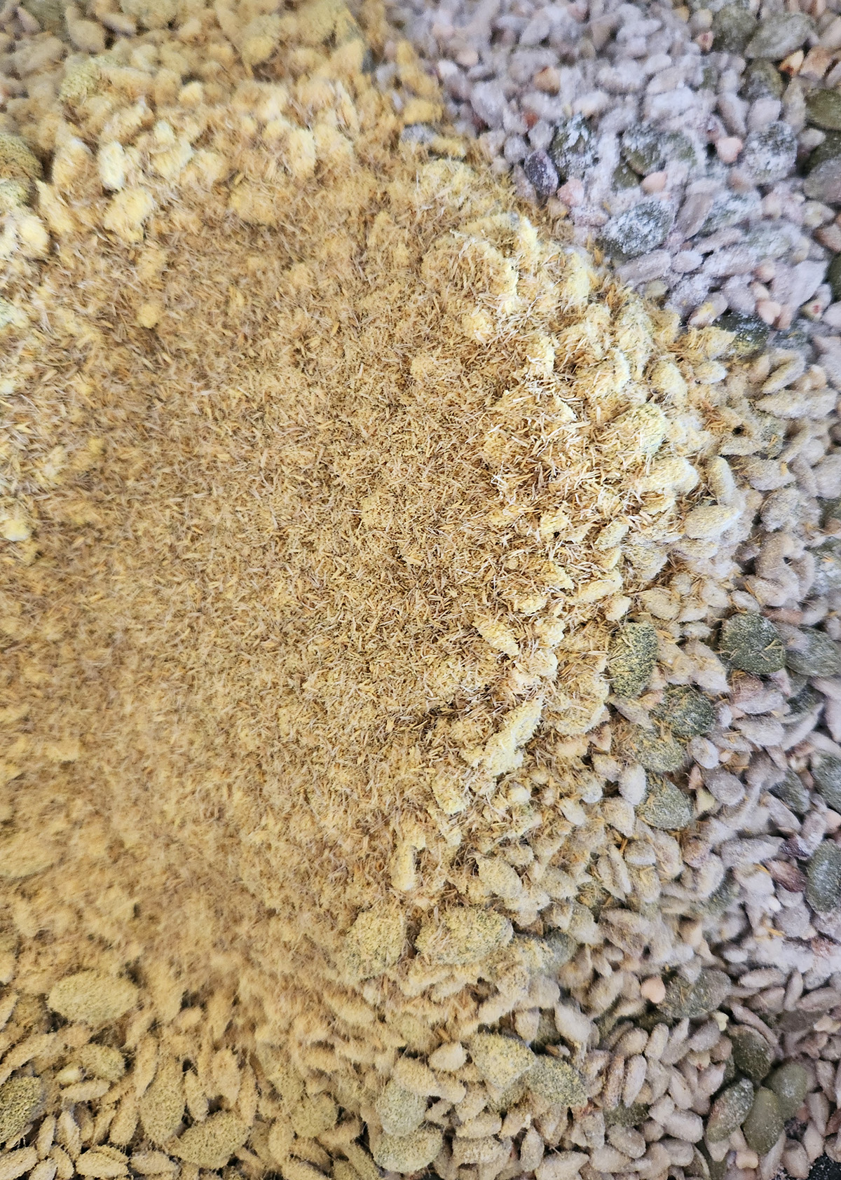 A Gluten-Free Bread Recipe that Is Dense with Seeds