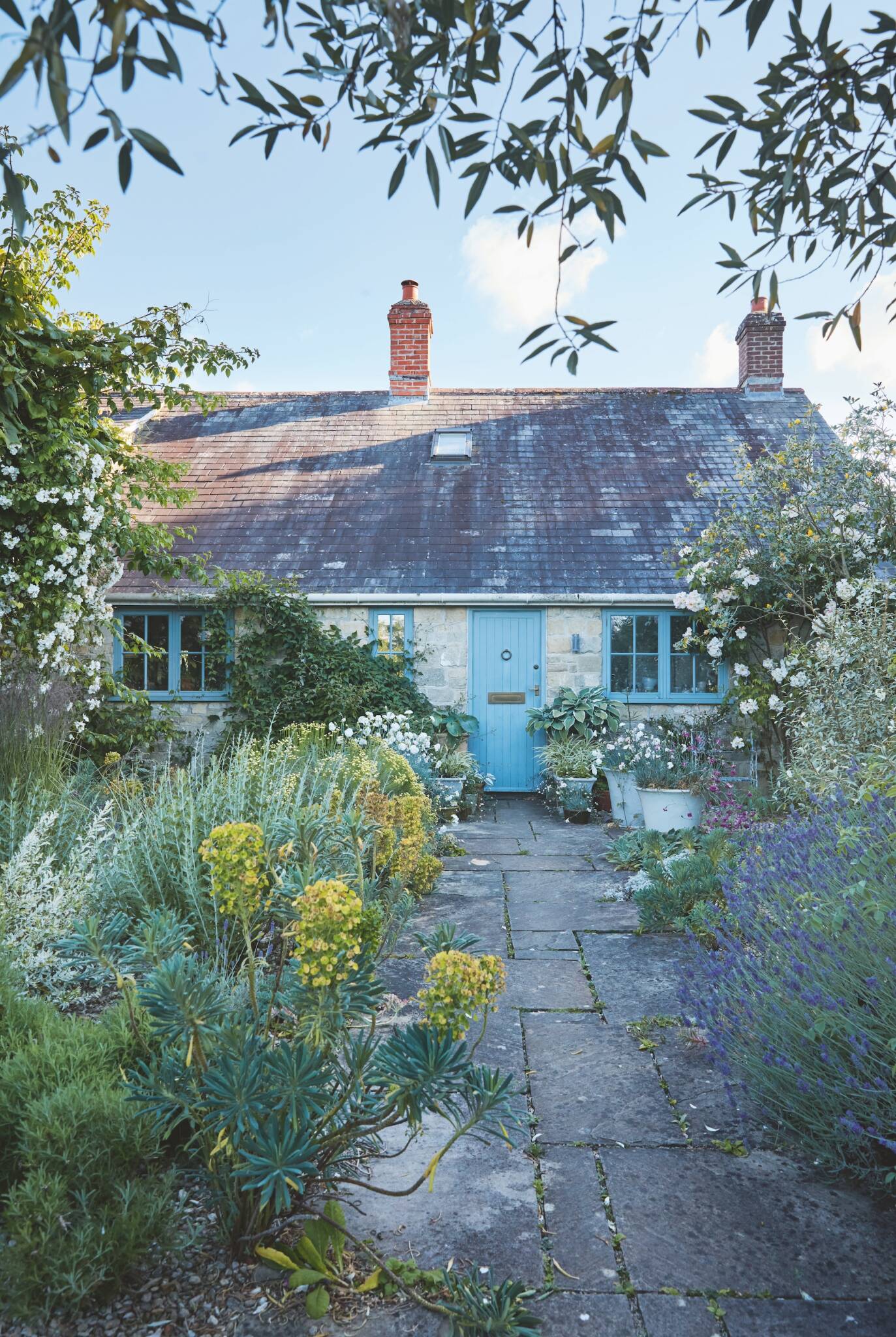 Tania Compton's Spilsbury Farm, As Featured in Ngoc Minh Ngo's 'Roses ...