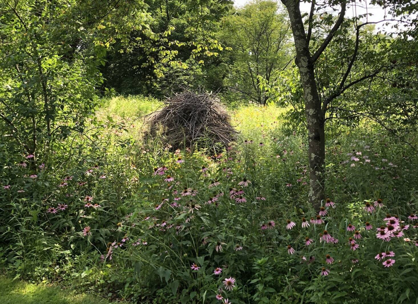 Circular Economy Gardening: How to Close the Loop in Your Landscape