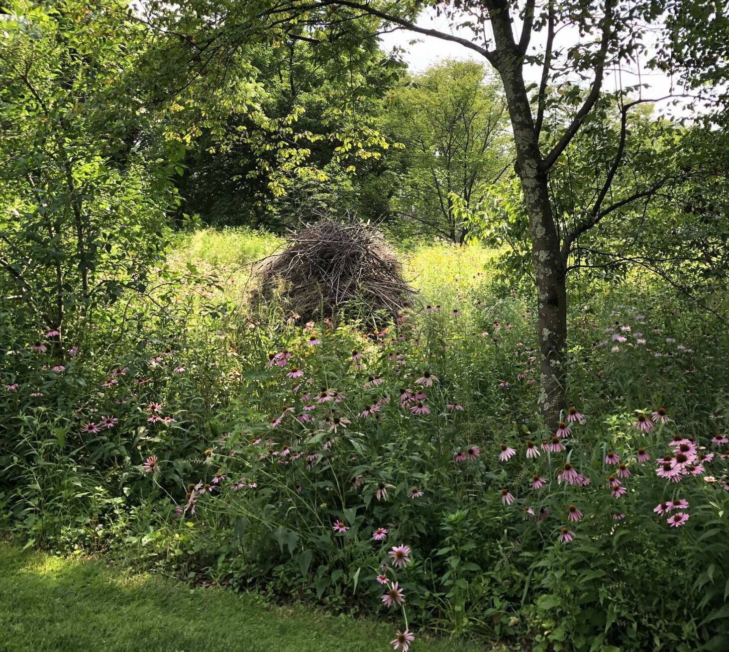 How one can Shut the Loop in Your Panorama - The Love Bud