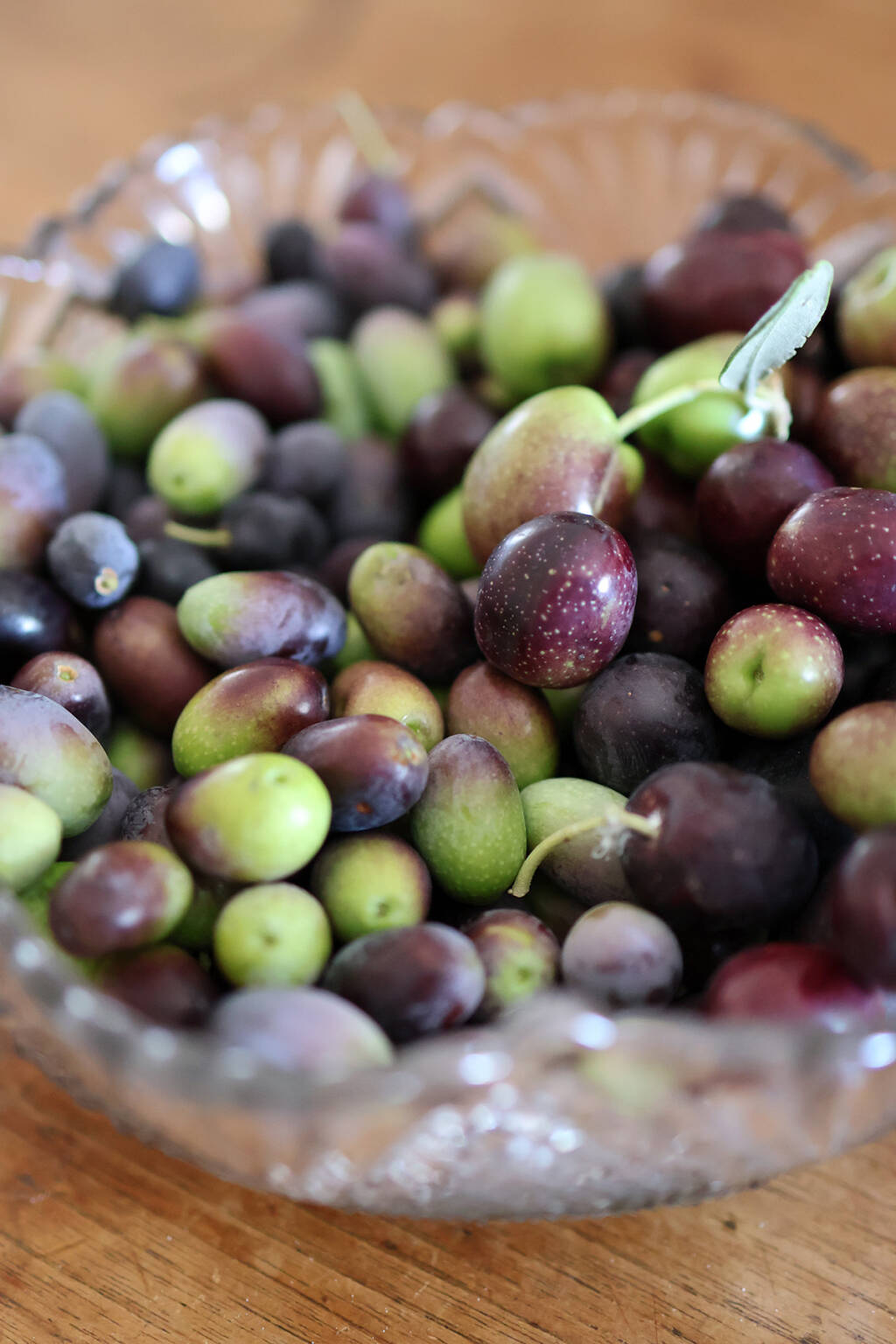 Oil-Cured Olives: An Easy and Quick Recipe for Autumn