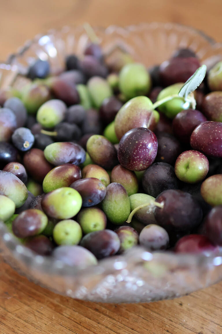 Oil-Cured Olives: An Easy and Quick Recipe for Autumn