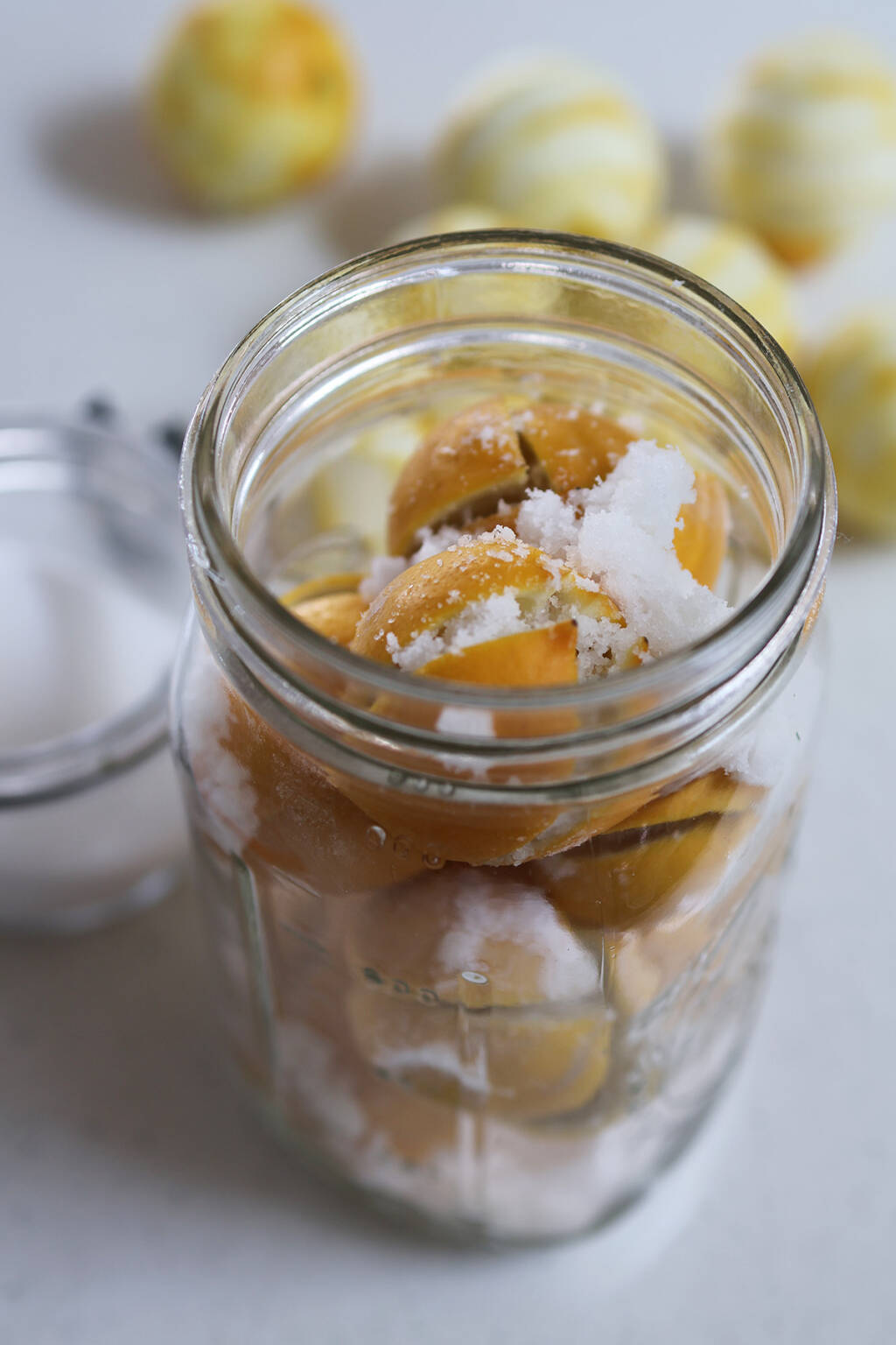 Preserved Lemons: A Two-Ingredient Recipe - Gardenista