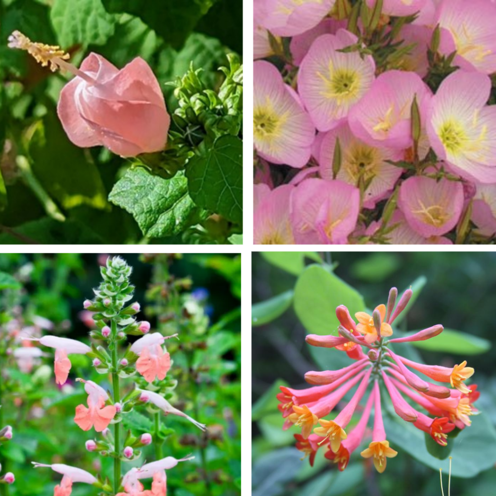 Resolutions Roundup: Garden Pros Share the 10 Ways They're Changing ...