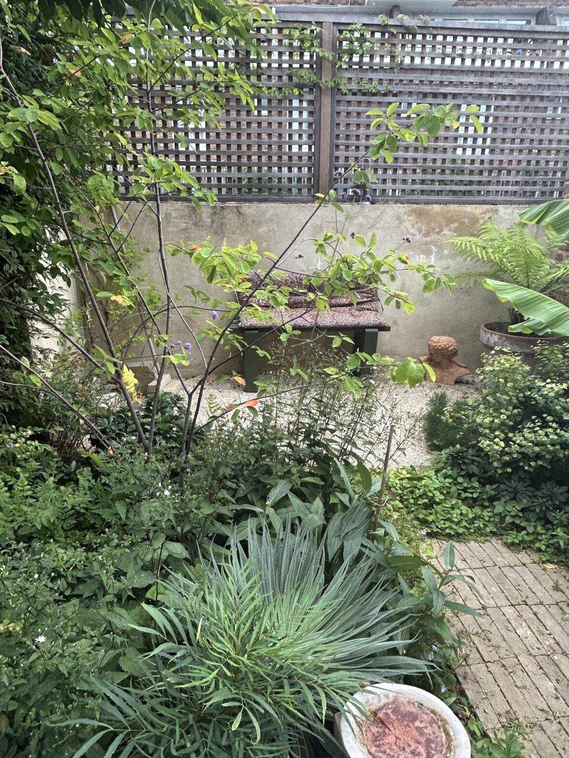 Before and After: From Yard to Garden, London Edition - Gardenista