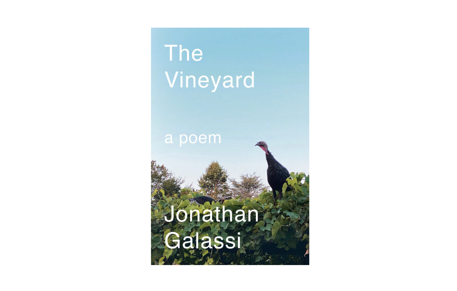 An Interview with Jonathan Galassi, Poet and Author of 'The Vineyard'