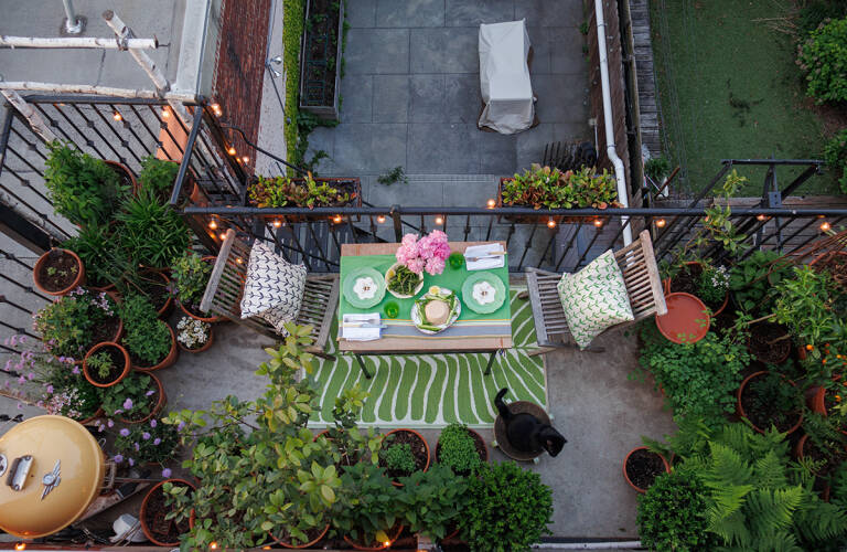 Taking Stock: My Tiny Terrace Garden Wakes Up - Gardenista
